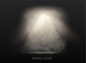 Warm light set bulb on a transparent background Vector Image