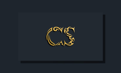 Initial letters cs monogram logo design bundle Vector Image