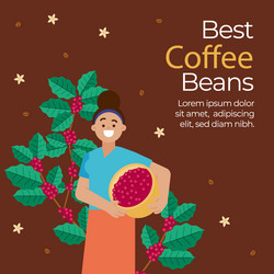 Flat design coffee plantation posts Royalty Free Vector