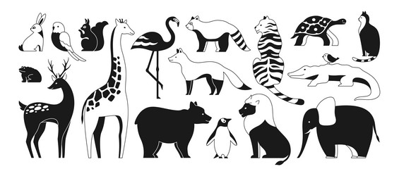 African Penguin Vector Images (over 780)