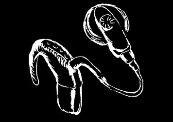 Cochlear Implant Vector Images (over 240)