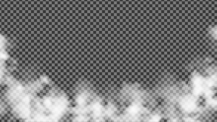 Mist on transparent background Royalty Free Vector Image