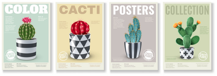 Cactus succulent realistic set Royalty Free Vector Image