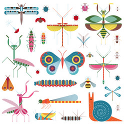 Insects Geometric Vector Images (over 7,500)