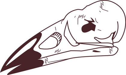 Hawk Skull Vector Images (over 390)