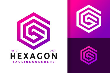 Letter g hexagonal logo logos design element Vector Image