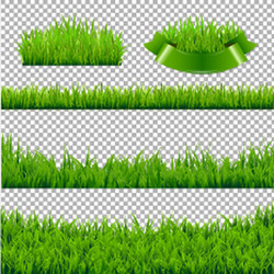 Clean And Green Clipart Borders