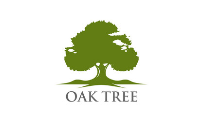 Green oak logo template green oak Royalty Free Vector Image