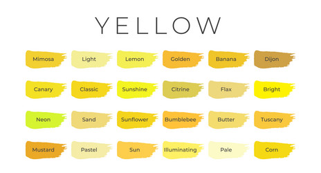 Yellow color shades swatches palette with names Vector Image