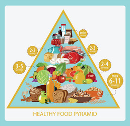 Food pyramid healthy eating infographic Royalty Free Vector