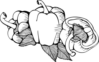 Paprika Draw Vector Images (over 3,000)