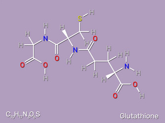 Gsh Vector Images (49)