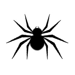 Spider Eyes Vector Images (over 3,700)