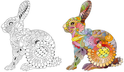 Spring rabbit coloring page for adult and children