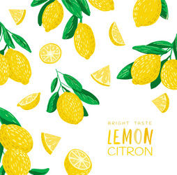 Hand drawn lemon pattern tropical fruit Royalty Free Vector