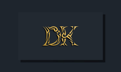 Minimal line art letters dk signature logo Vector Image