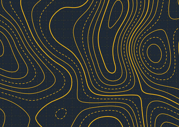 Topographic map banner design Royalty Free Vector Image