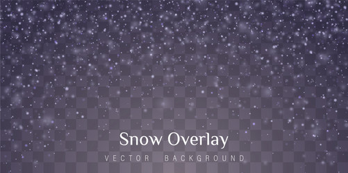 Falling snow on a transparent background Vector Image