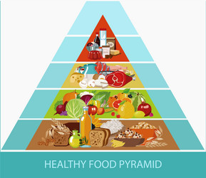 Healthy food pyramid infographic pictures Vector Image