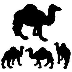 Camel Vector Images (over 15,000)