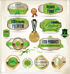 Collection of elegant eco labels Royalty Free Vector Image