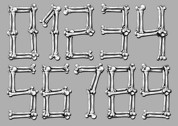 Bones Number Vector Images (over 1,400)