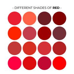 Color palette set design template Royalty Free Vector Image