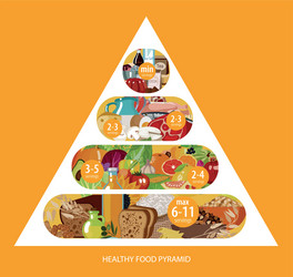 Food nutrition groups pyramid Royalty Free Vector Image