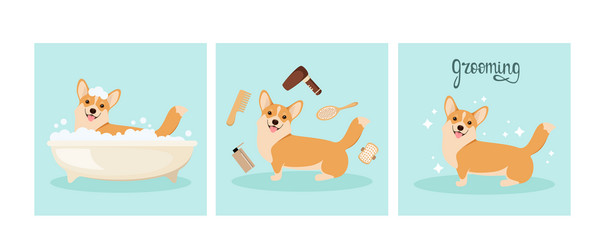 Grooming Royalty Free Vector Image - VectorStock