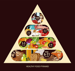 Healthy food pyramid infographic pictures Vector Image