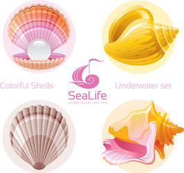 Colorful tropical shells underwater icon set Vector Image