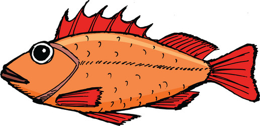 Rockfish Vector Images (over 220)