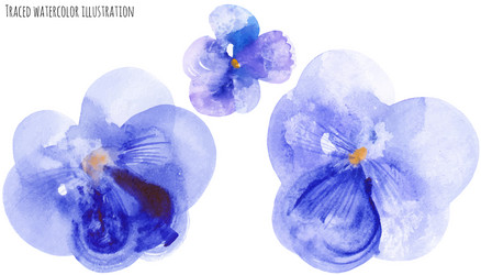 Purple Pansy Vector Images (over 1,000)