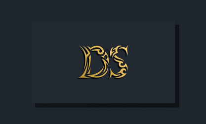 Initial letters ds monogram logo design bundle Vector Image