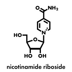 Nicotinamide riboside nr molecule precursor Vector Image