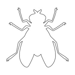 Fly Insect Vector Images (over 84,000)