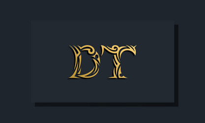 Luxury fashion initial letter dt logo Royalty Free Vector
