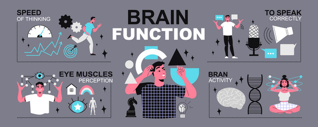How brain functions infographics Royalty Free Vector Image