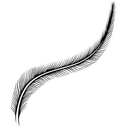 Feather Line Art Vector Images (over 41,000)