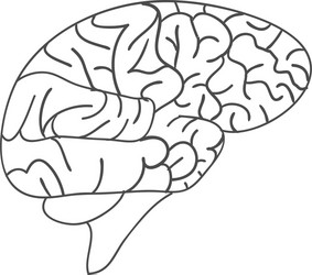 Brain outline Royalty Free Vector Image - VectorStock