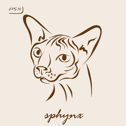 Sphynx Cat Vector Images (over 1,100)