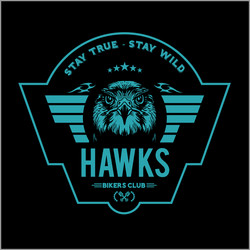 Hawks head logo template hawk mascot graphic Vector Image