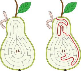 Easy grapes maze Royalty Free Vector Image - VectorStock