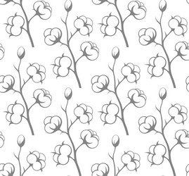 Cotton Royalty Free Vector Image - VectorStock