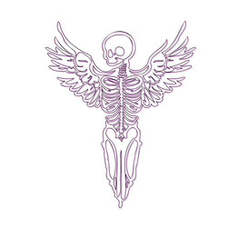 Skeleton angel outline sketch Royalty Free Vector Image