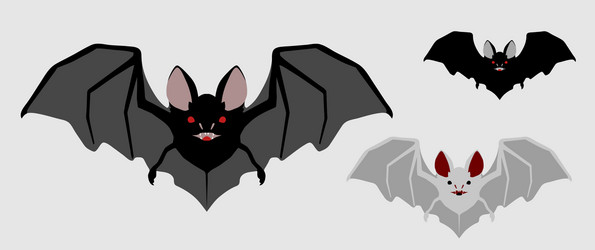Coat of arms vampire bat Royalty Free Vector Image