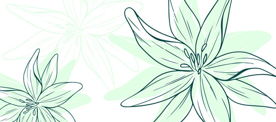 Flower outline abstract background wallpaper Vector Image