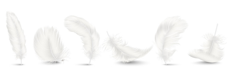 3d realistic falling pink flamingo fluffy Vector Image