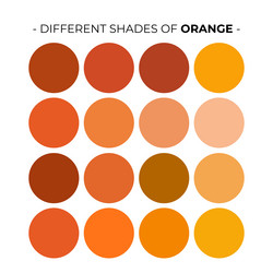 Color palette set design template Royalty Free Vector Image