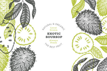Soursop set Royalty Free Vector Image - VectorStock